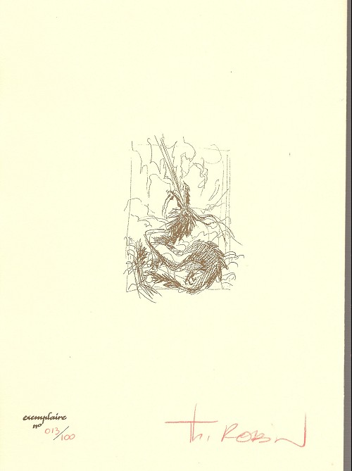 Robin, Thierry - Para-BD