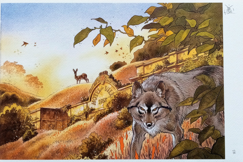 Frank (Pé) - Para-BD