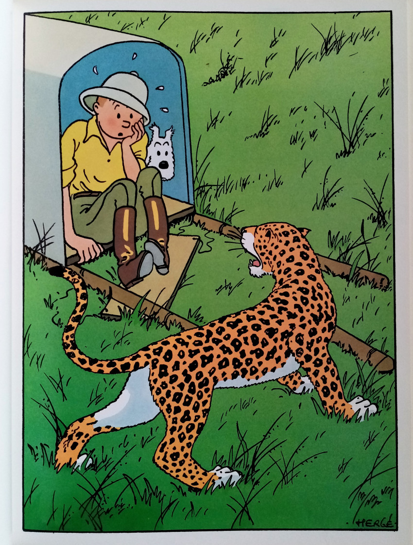 Tintin - Divers - Para-BD - Page 3