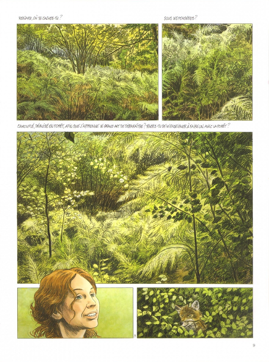 La faune symbolique -1- Renard rusé