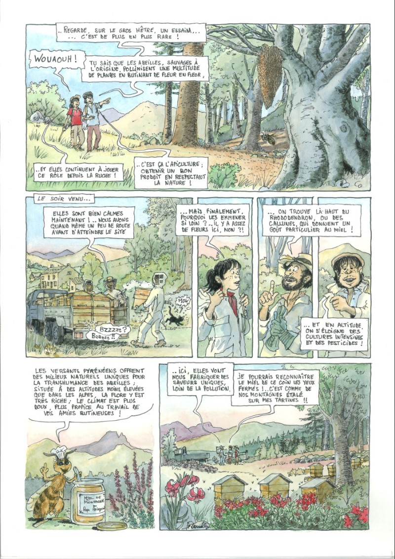 Pyrénées - Pireneos ou le refuge de la diversité - BD, informations, cotes