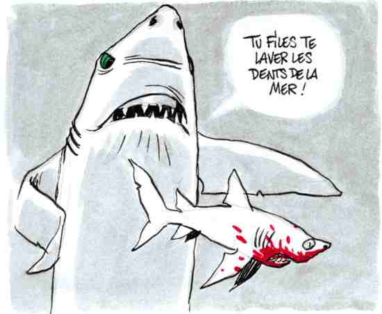 Shark Book - BD, informations, cotes