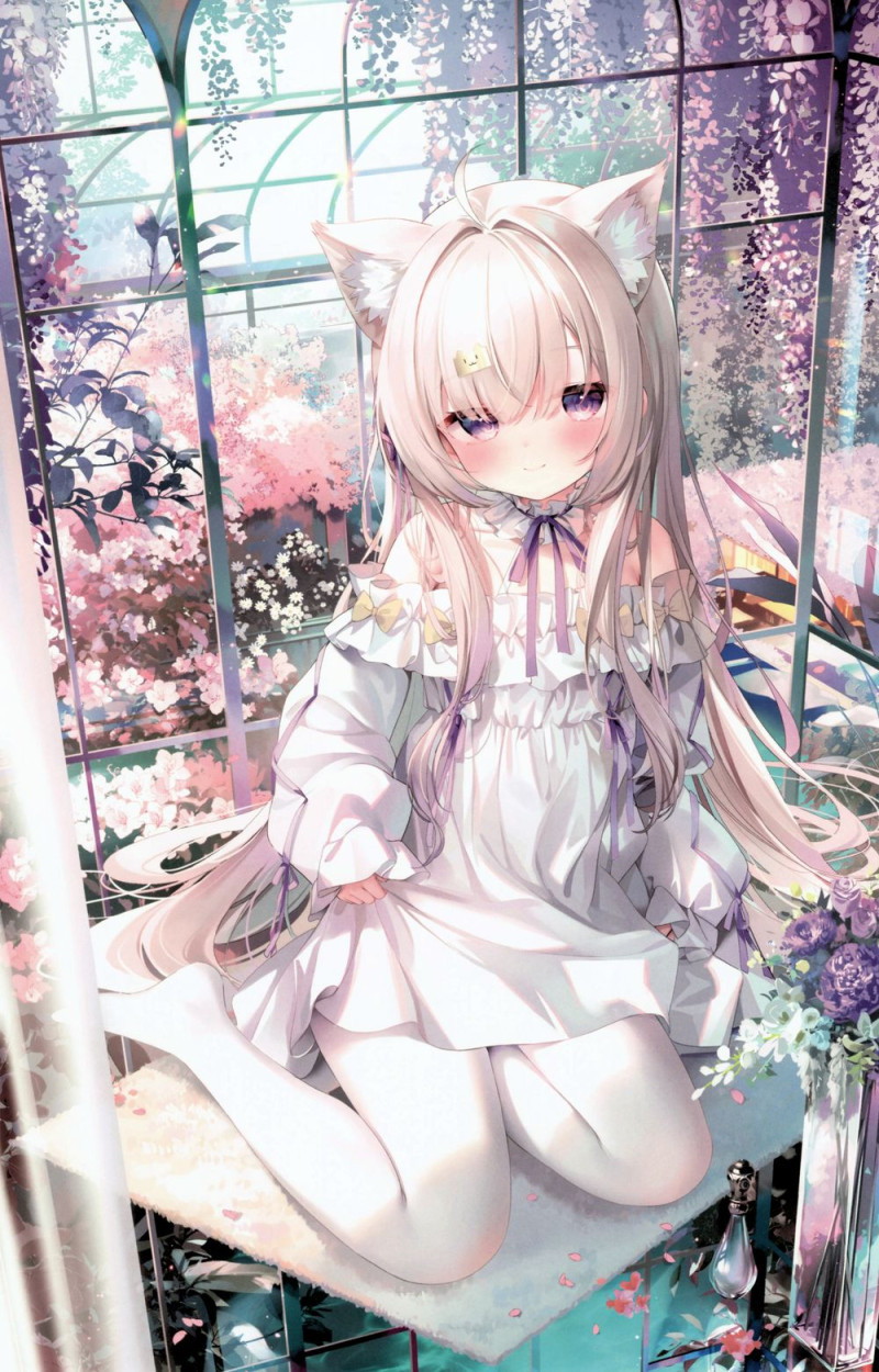 (AUT) Gui Zhen Cao - BD, informations, cotes