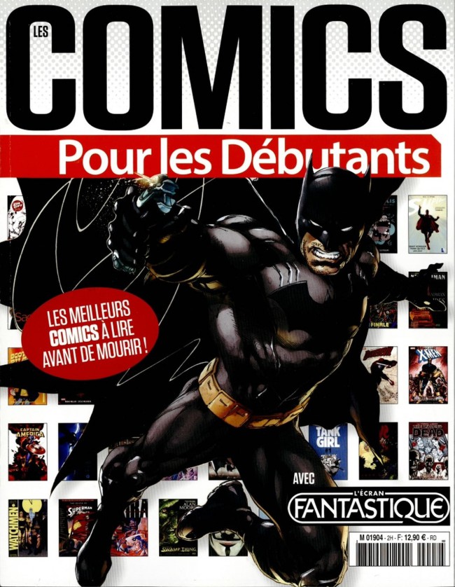 Comics Pour Les Débutants (Les)
